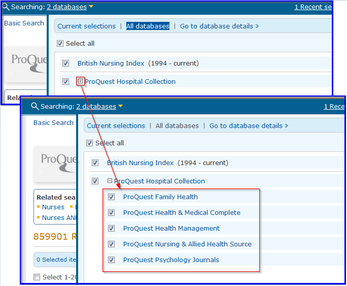 Explaining How To Read Database Activity Summary Usage Report