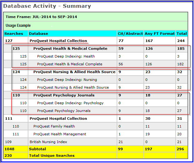 Explaining How To Read Database Activity Summary Usage Report