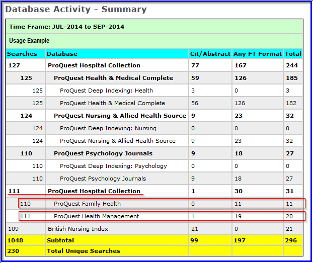 Explaining How To Read Database Activity Summary Usage Report