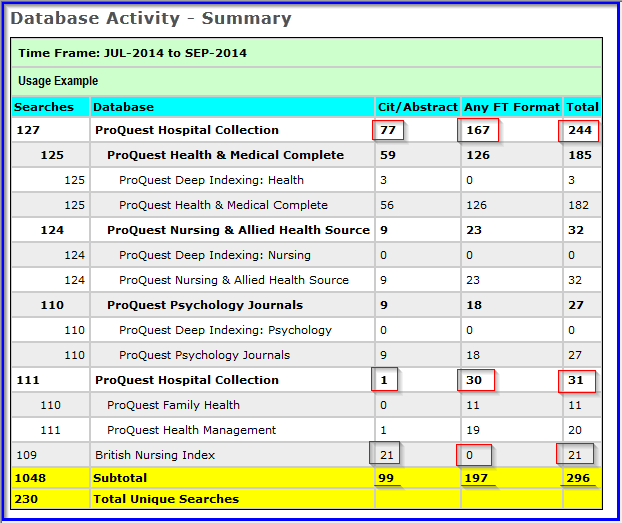 Explaining How To Read Database Activity Summary Usage Report